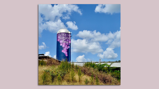 Union Grove Farm's ambitious plan for a climate-friendly vineyard in ...