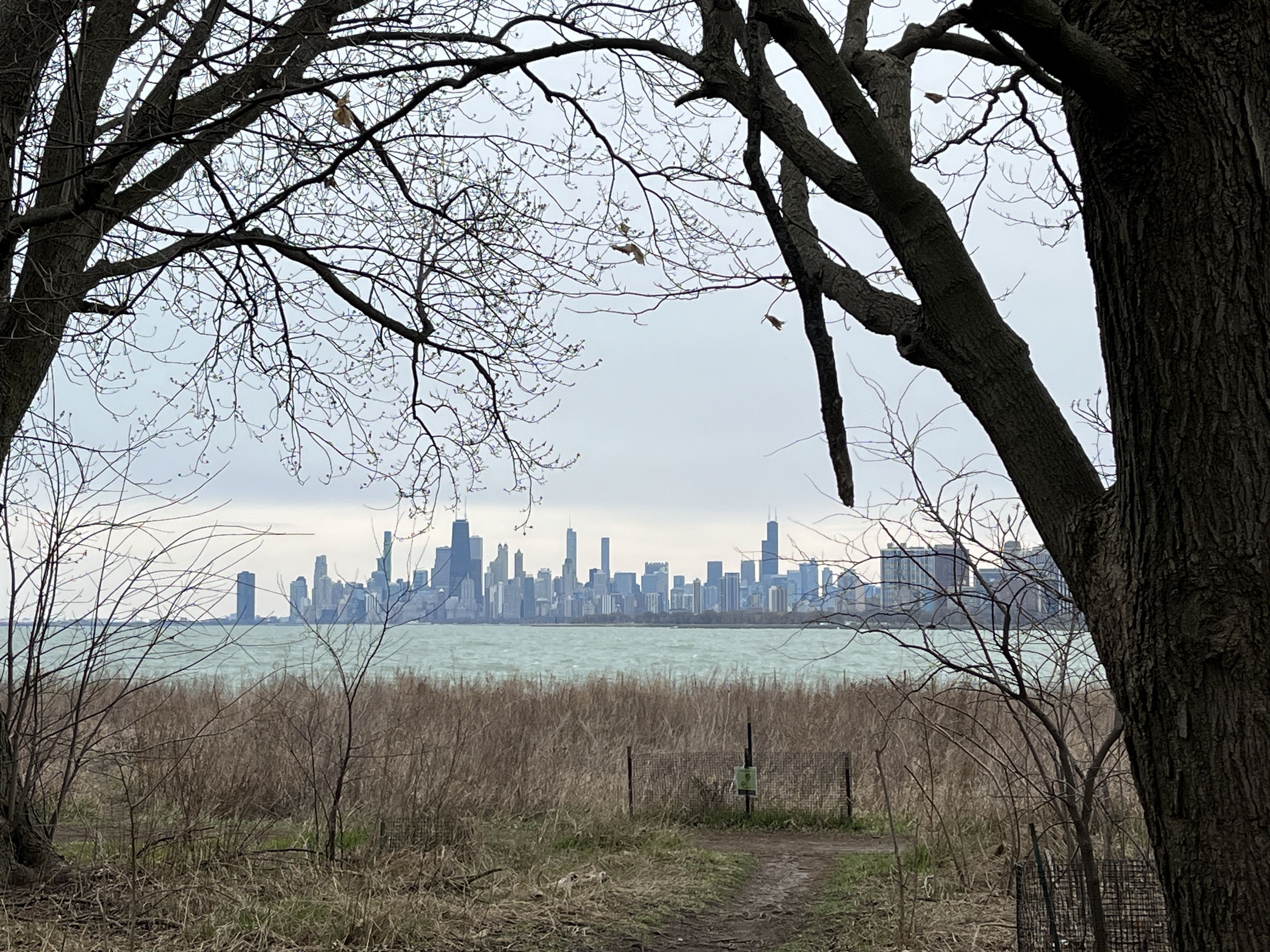 "Jeopardy!" champ spins a yarn: Hannah Wilson's perfect Chicago day - Axios Chicago