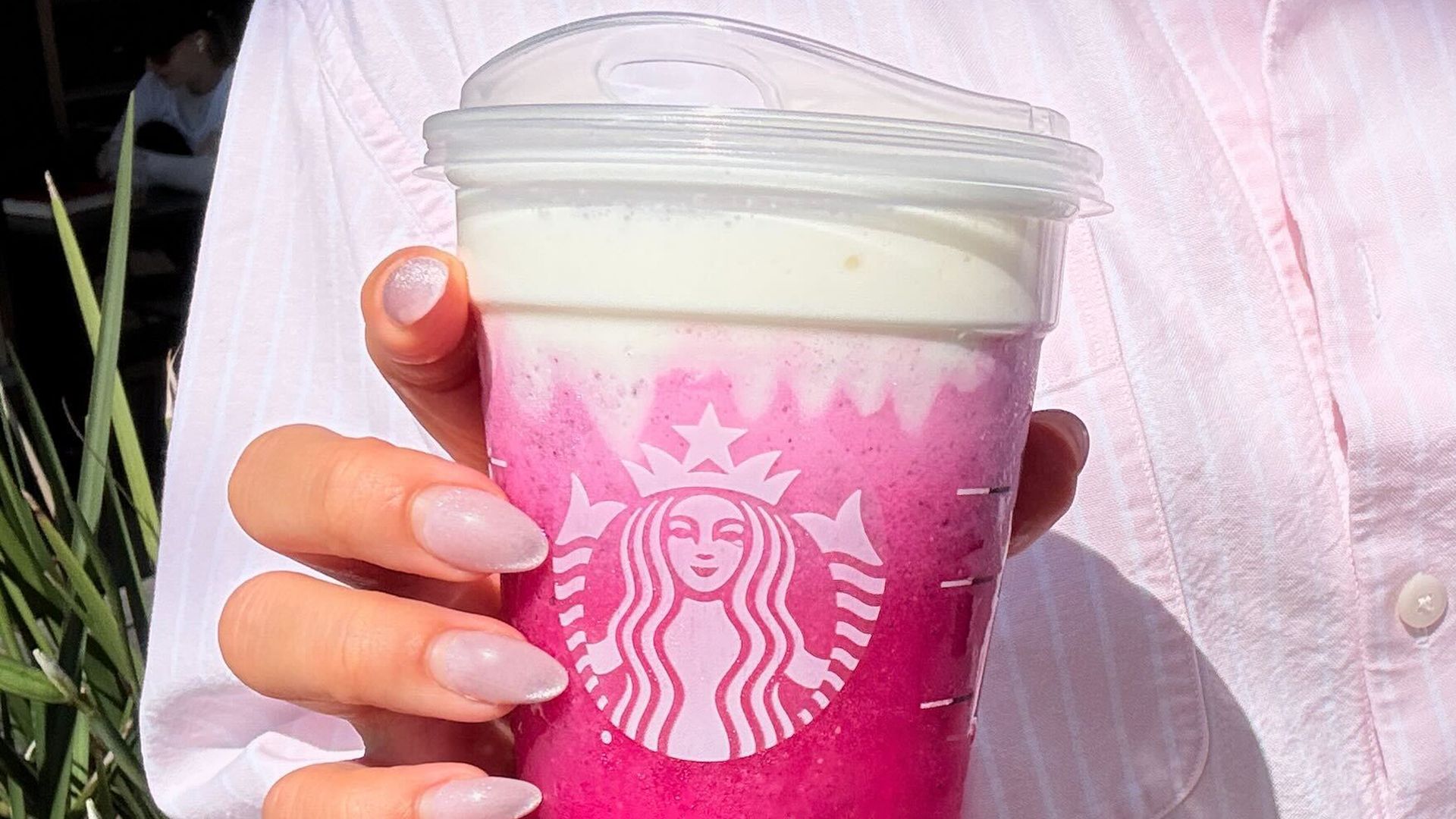 Starbucks secret menu 2025: New drinks now on app, contest launches