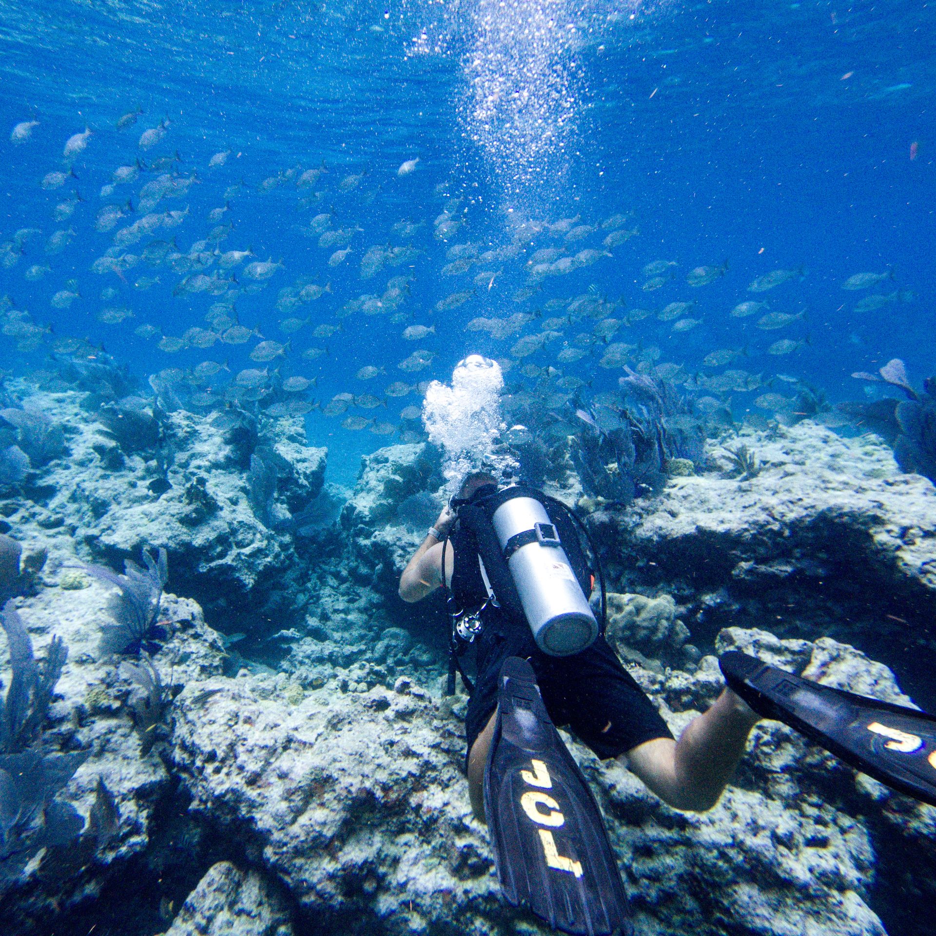 Sign Paperwork Underwater