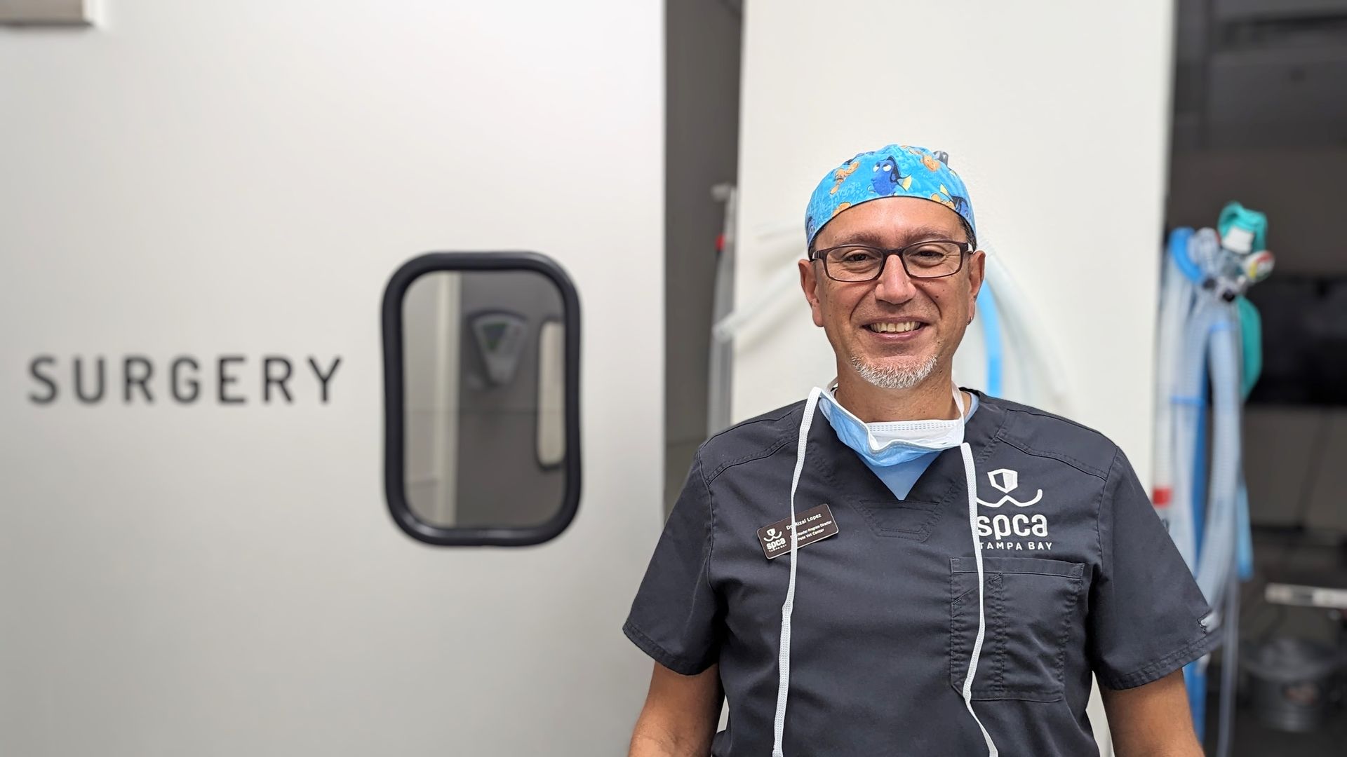 Tampa Bay vet performs 25,000th spay surgery - Axios Tampa Bay