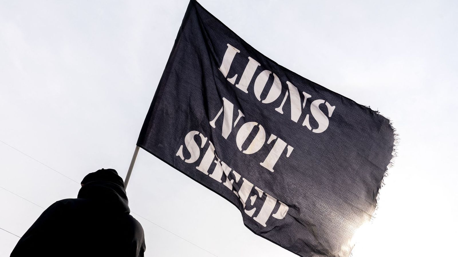 Lions Not Sheep founder denies FTC's phony "Made in USA" tags claims ...