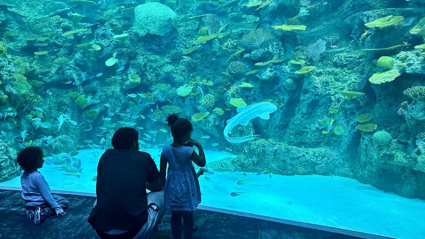 See inside Seattle Aquarium's Ocean Pavilion that just opened - Axios ...