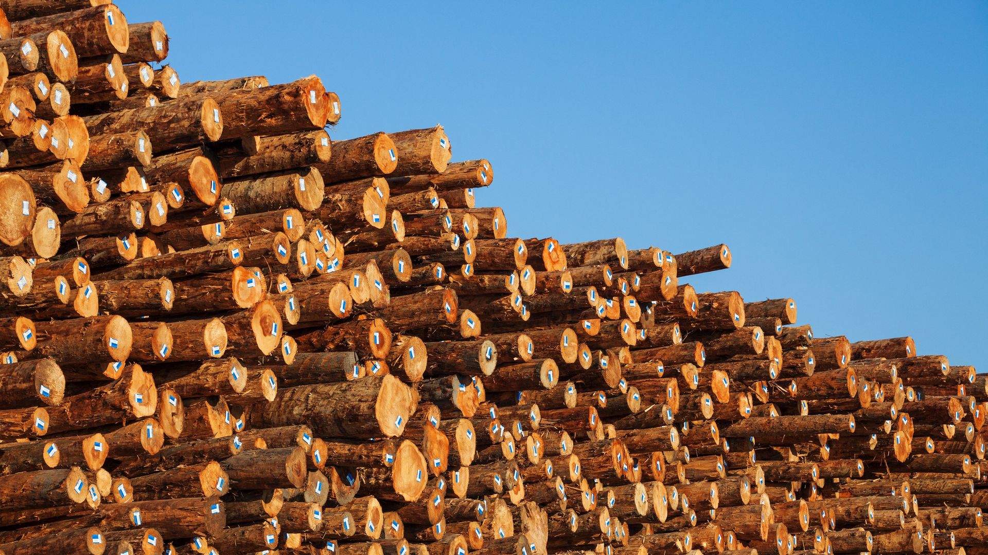 How tariffs could impact timber and the Oregon housing crisis - Axios ...