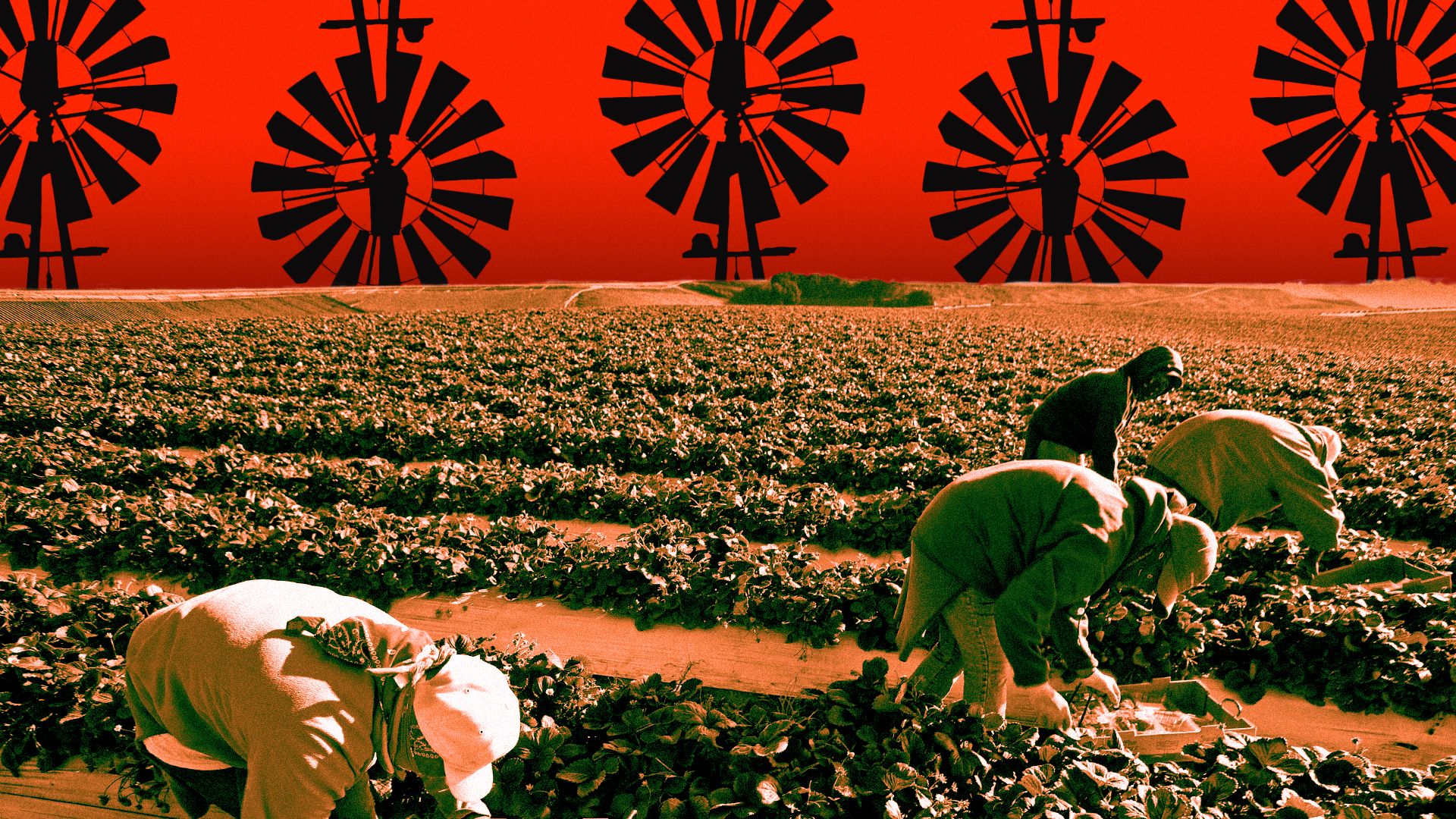 How ethnic stereotypes underlie Trump's agricultural vision