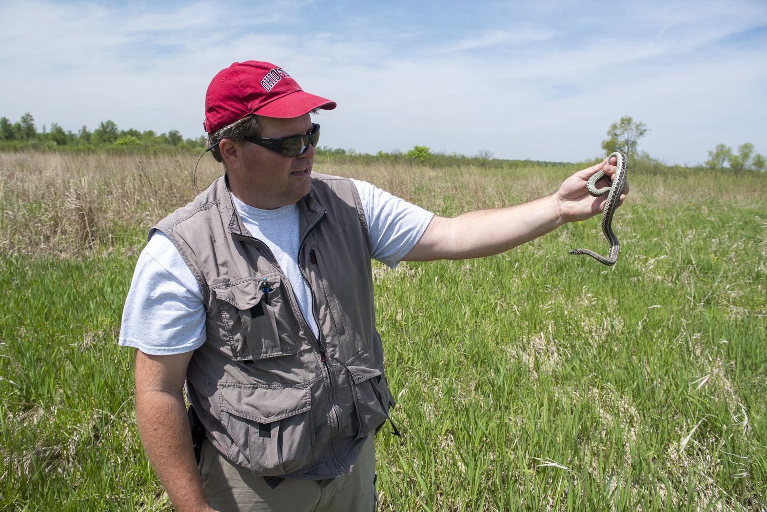 How the Columbus Zoo is helping Ohio's most endangered snake - Axios ...