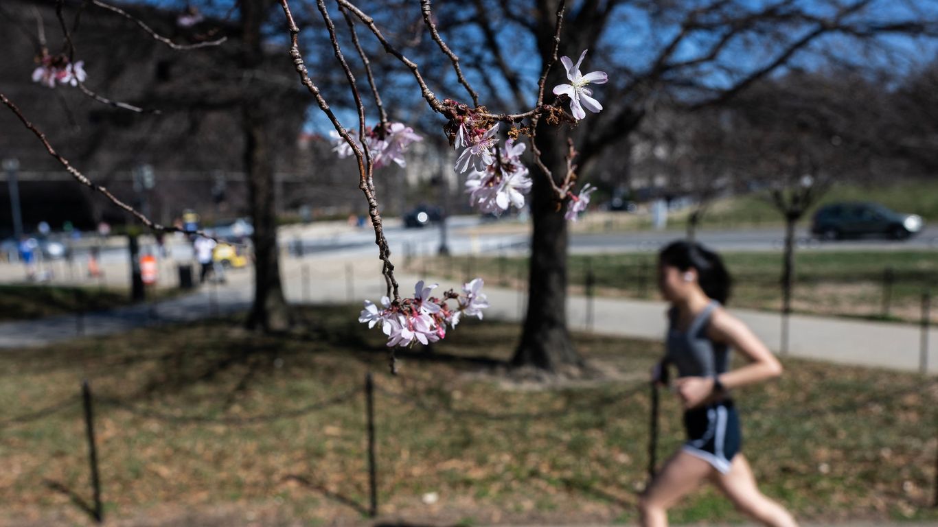 Record warmth envelops Mid-Atlantic during snowless winter