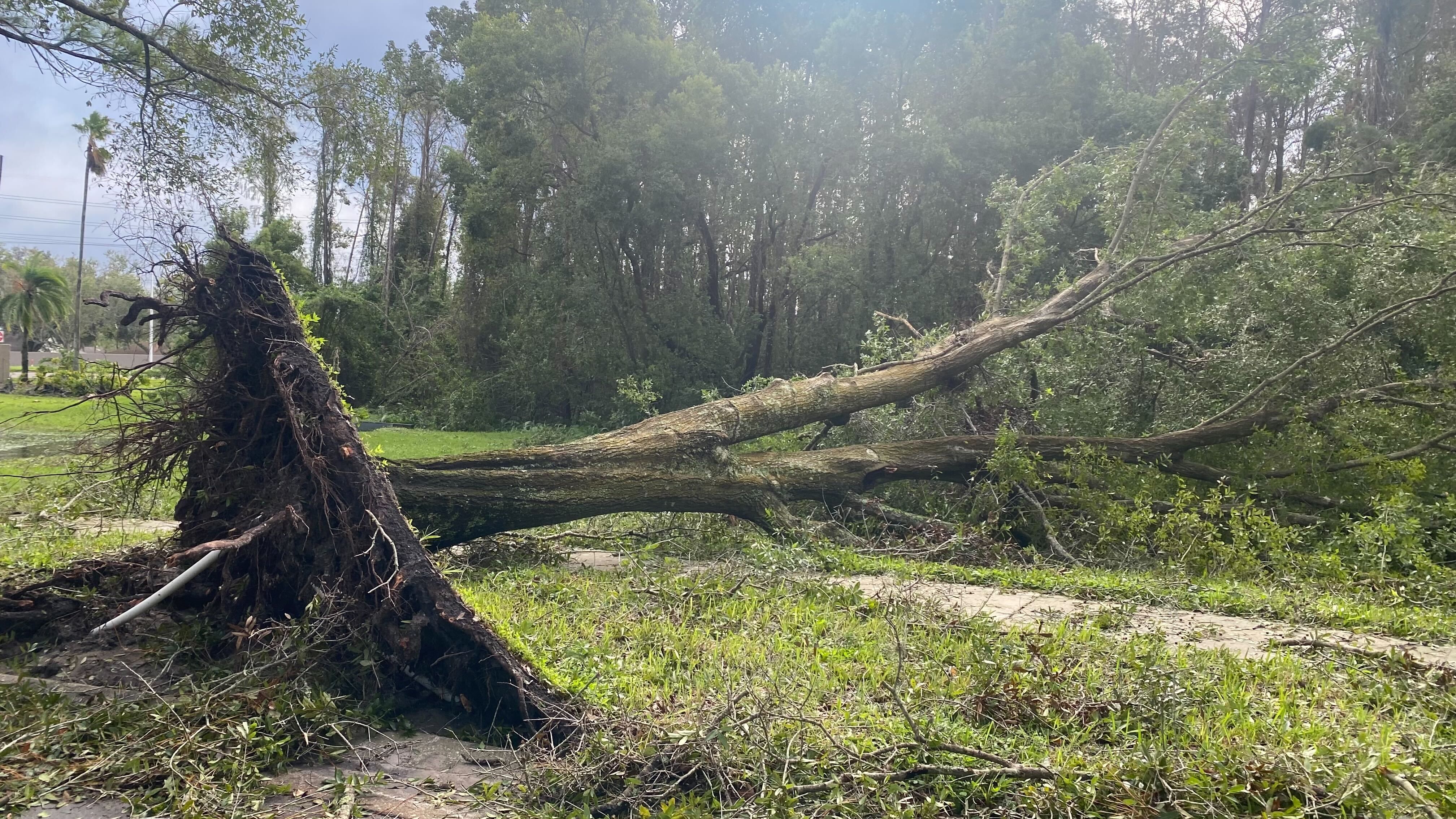 Photos: Hurricane Milton's aftermath in Tampa Bay - Axios Tampa Bay