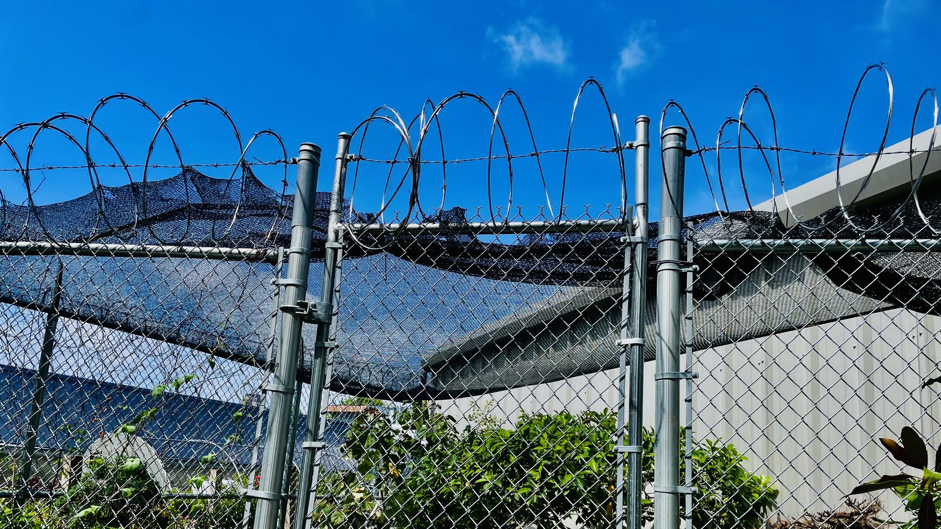 Bonsai bandits prompt razor wire at Des Moines Botanical Gardens ...