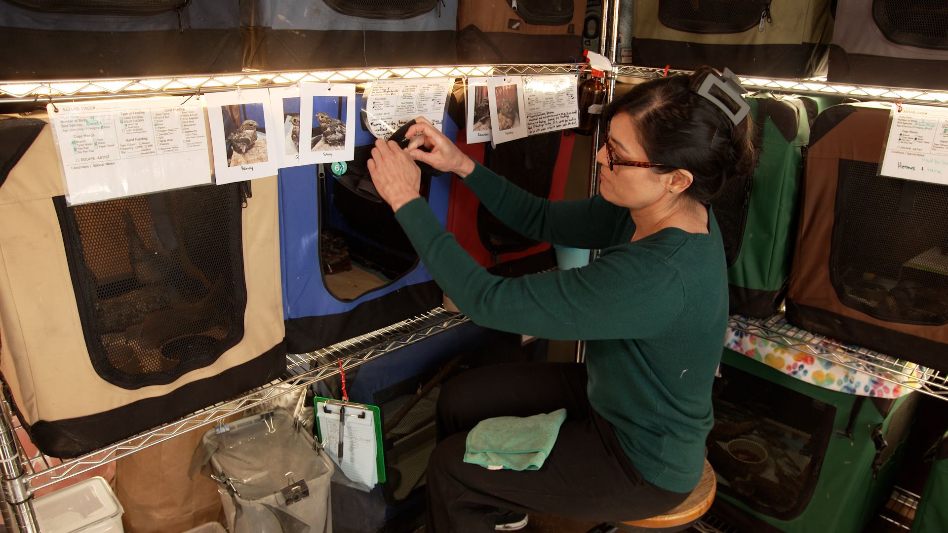 Iowa Bird Rehabilitation "bird lady" featured on PBS - Axios Des Moines