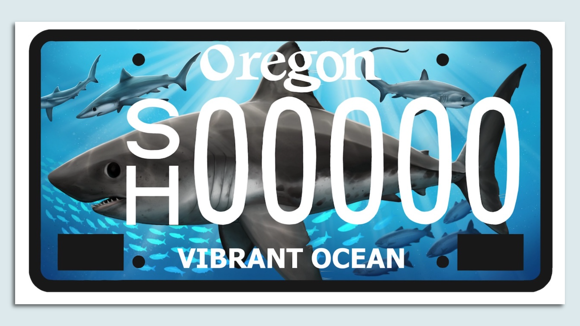 New Oregon plates will fund shark research - Axios Portland