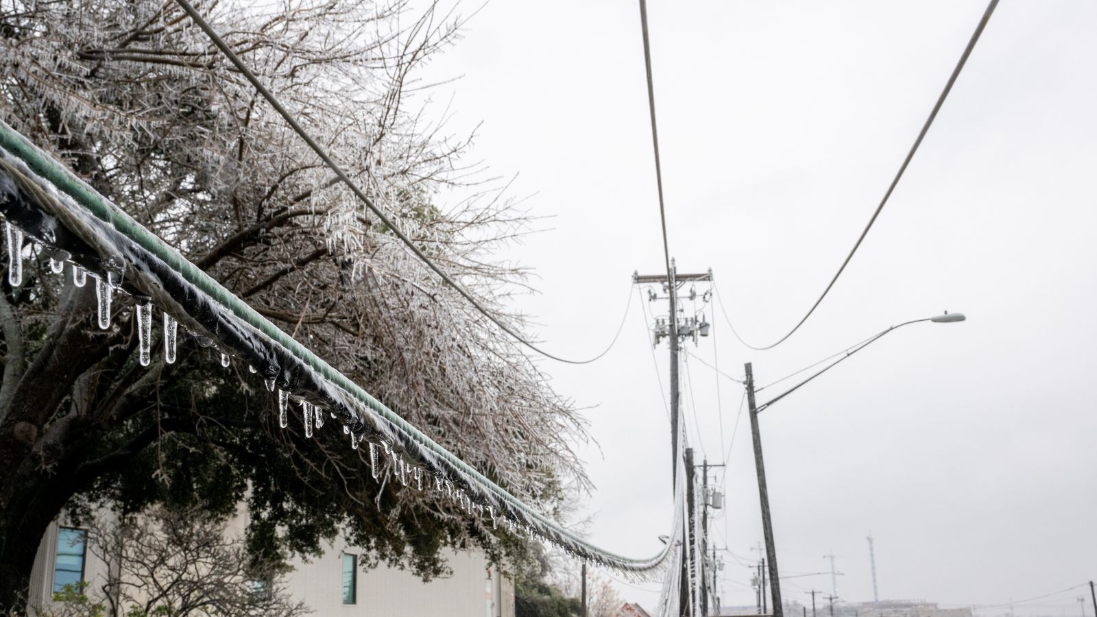Austin officials consider burying power lines - Axios Austin Austin officials consider burying power lines - Axios Austin