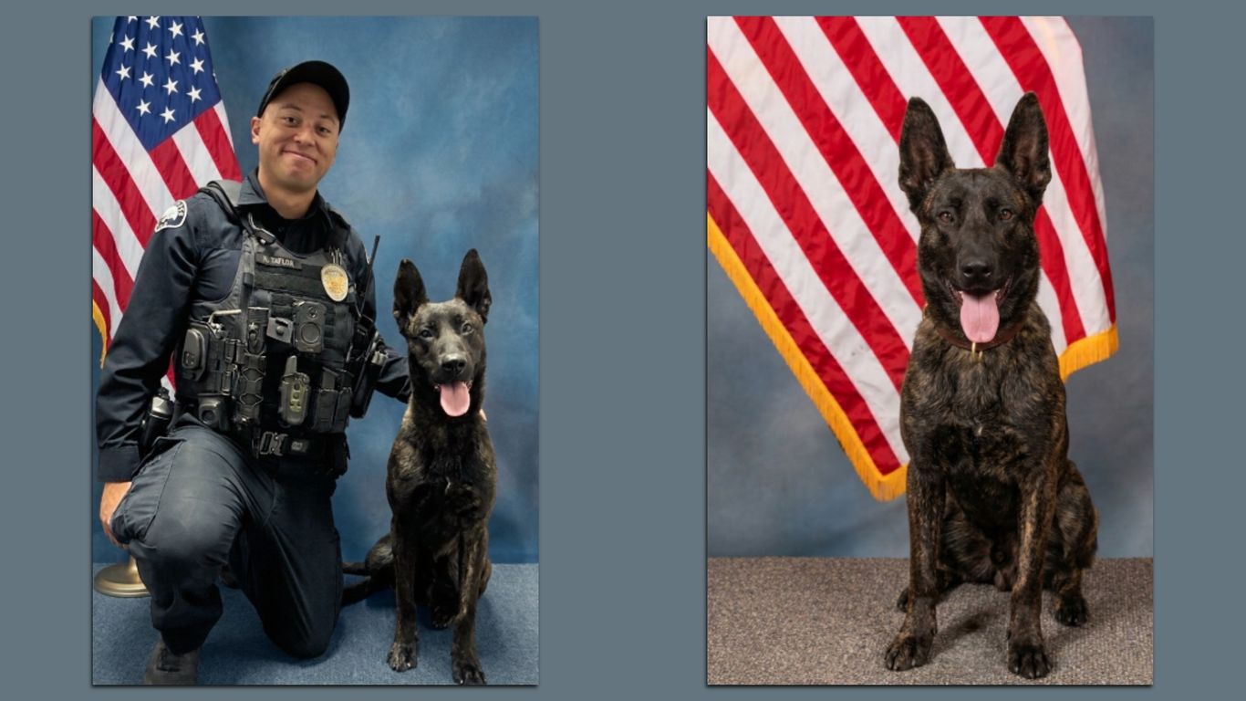 Boulder police add second K-9 to force - Axios Boulder