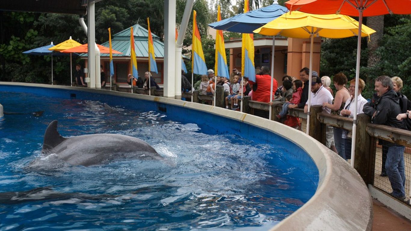 SeaWorld may have a suitor