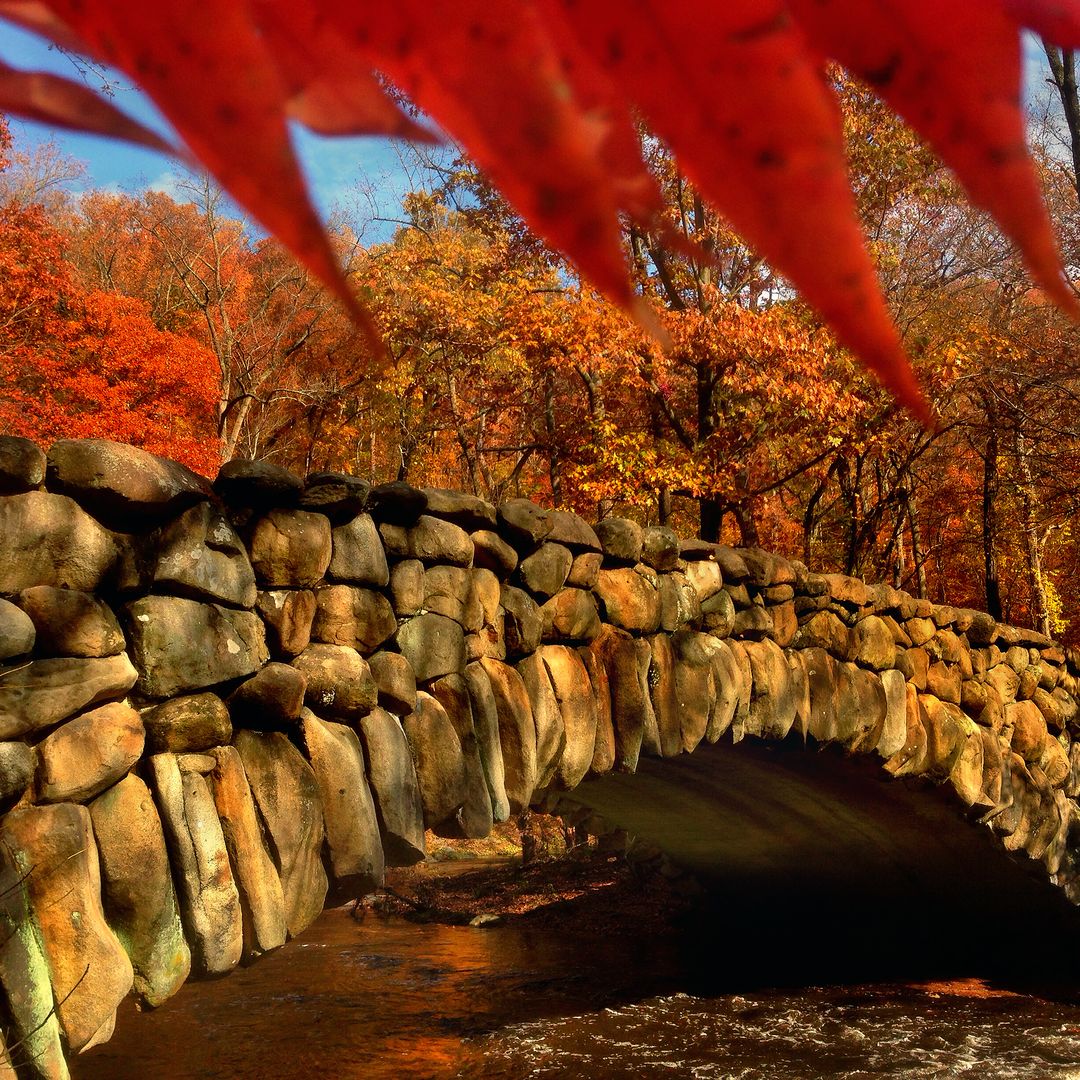 Chelsea Cirruzzo - Axios