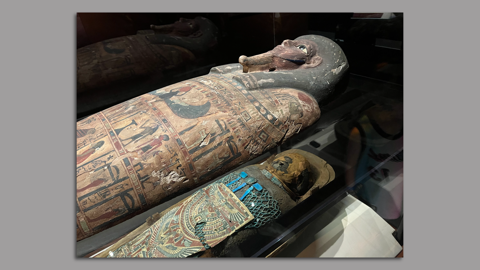 Mummies in Miami: Over 40 mummified humans and animals at Frost Science ...