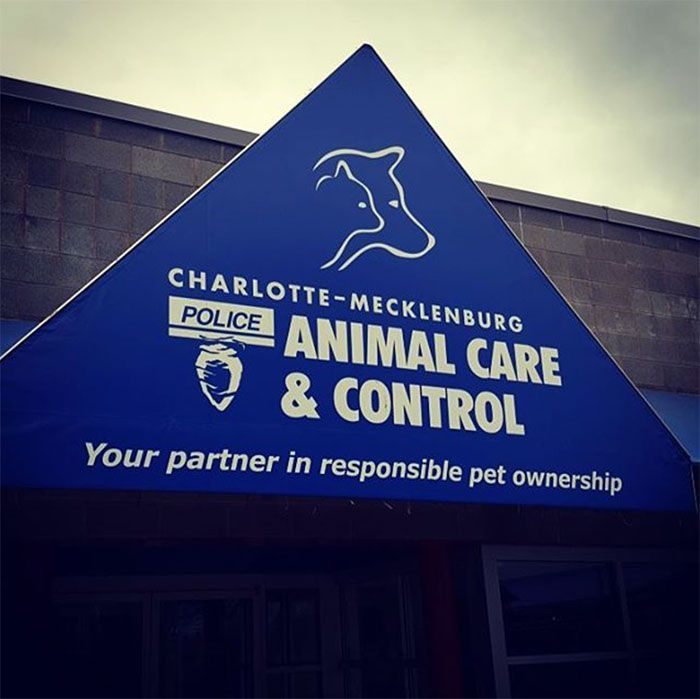 70% of Charlotteans don’t license their pets. Are you one of them ...