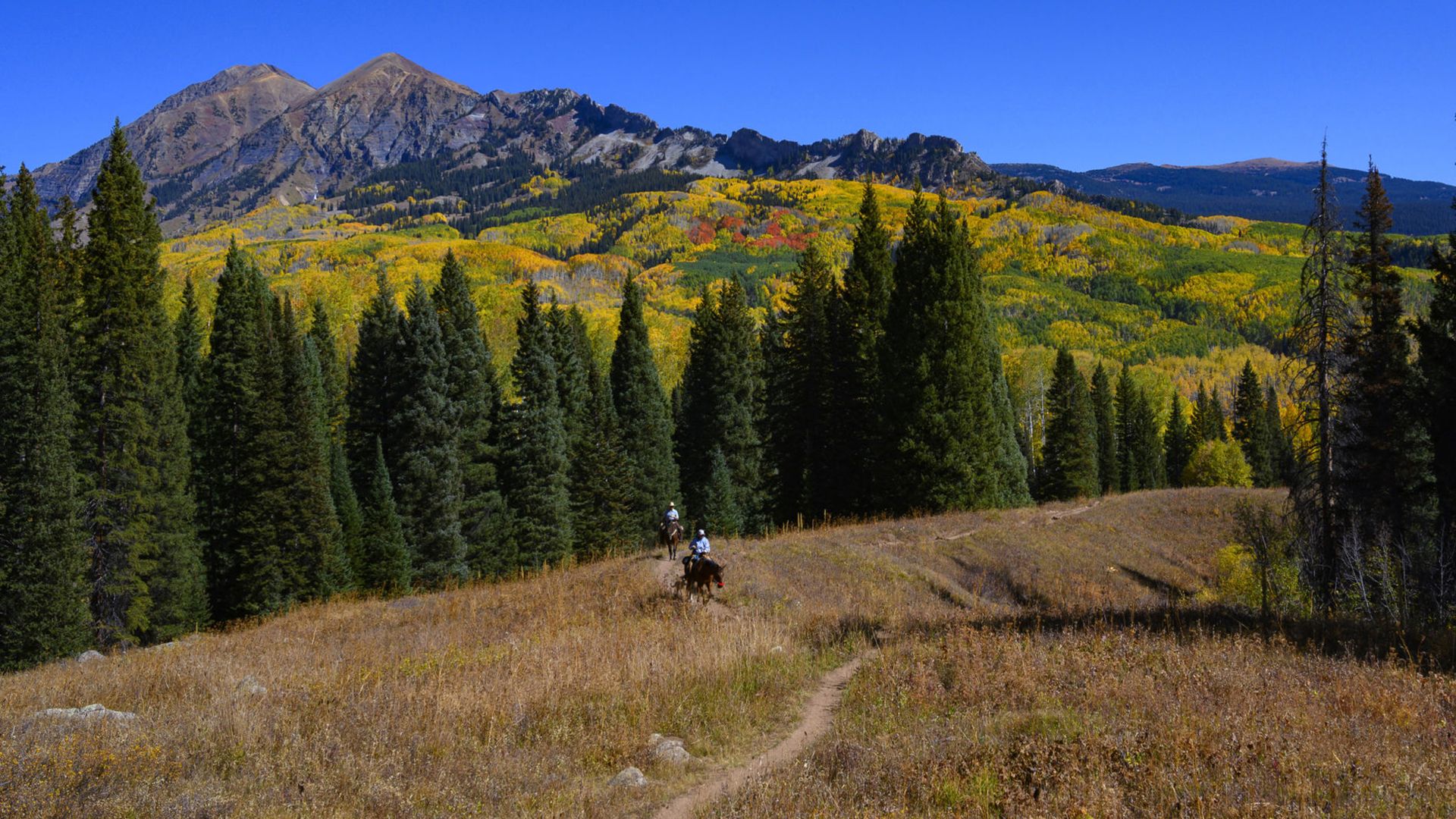 Where to go horseback riding near Denver - Axios Denver