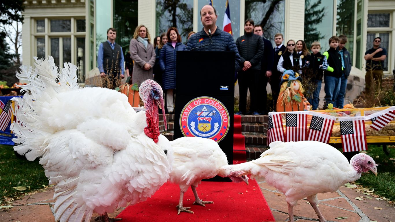 Gov. Jared Polis pardons four turkeys in Colorado's inaugural ...