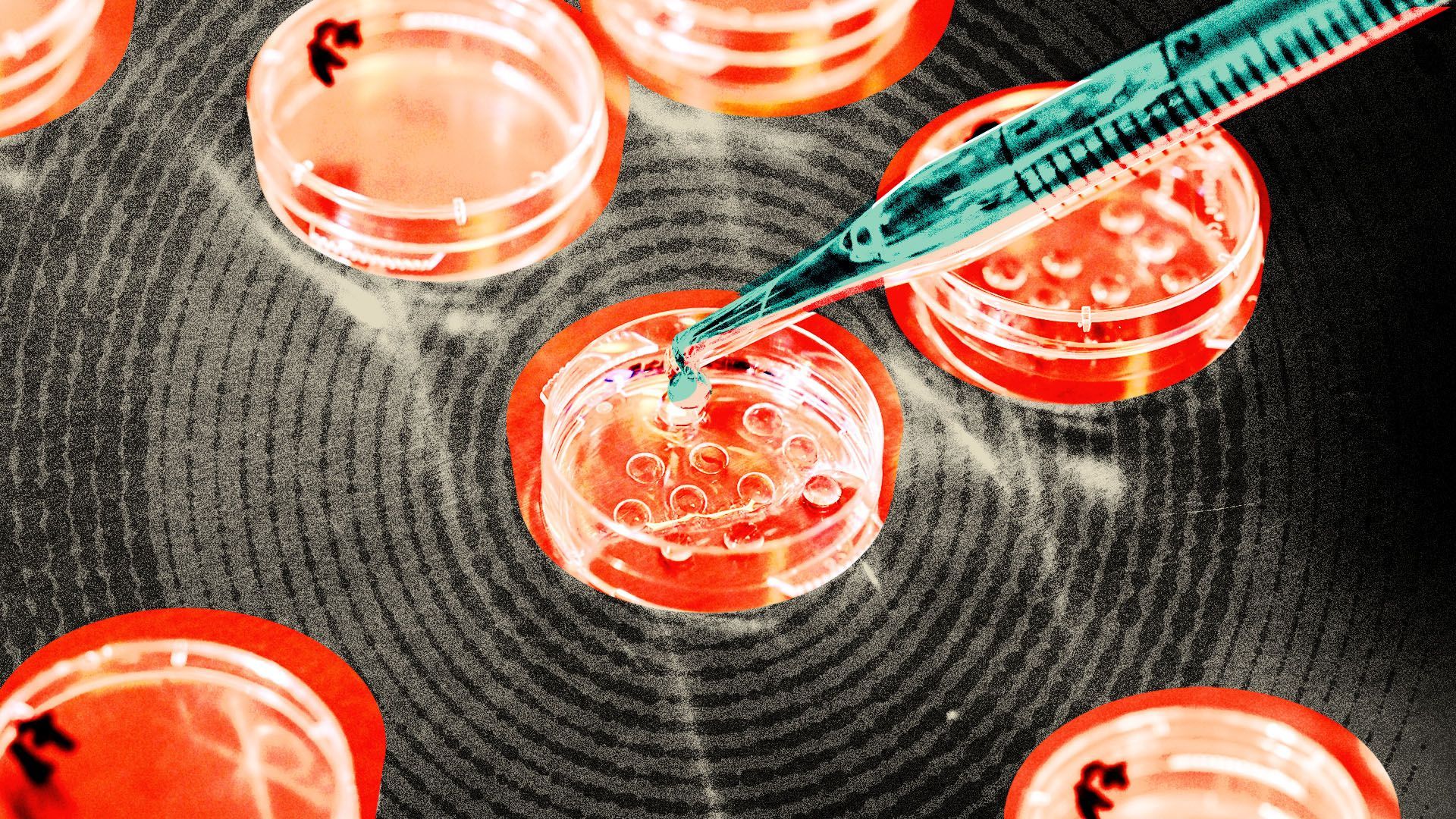 IVF, explained: What to know after Alabama ruling