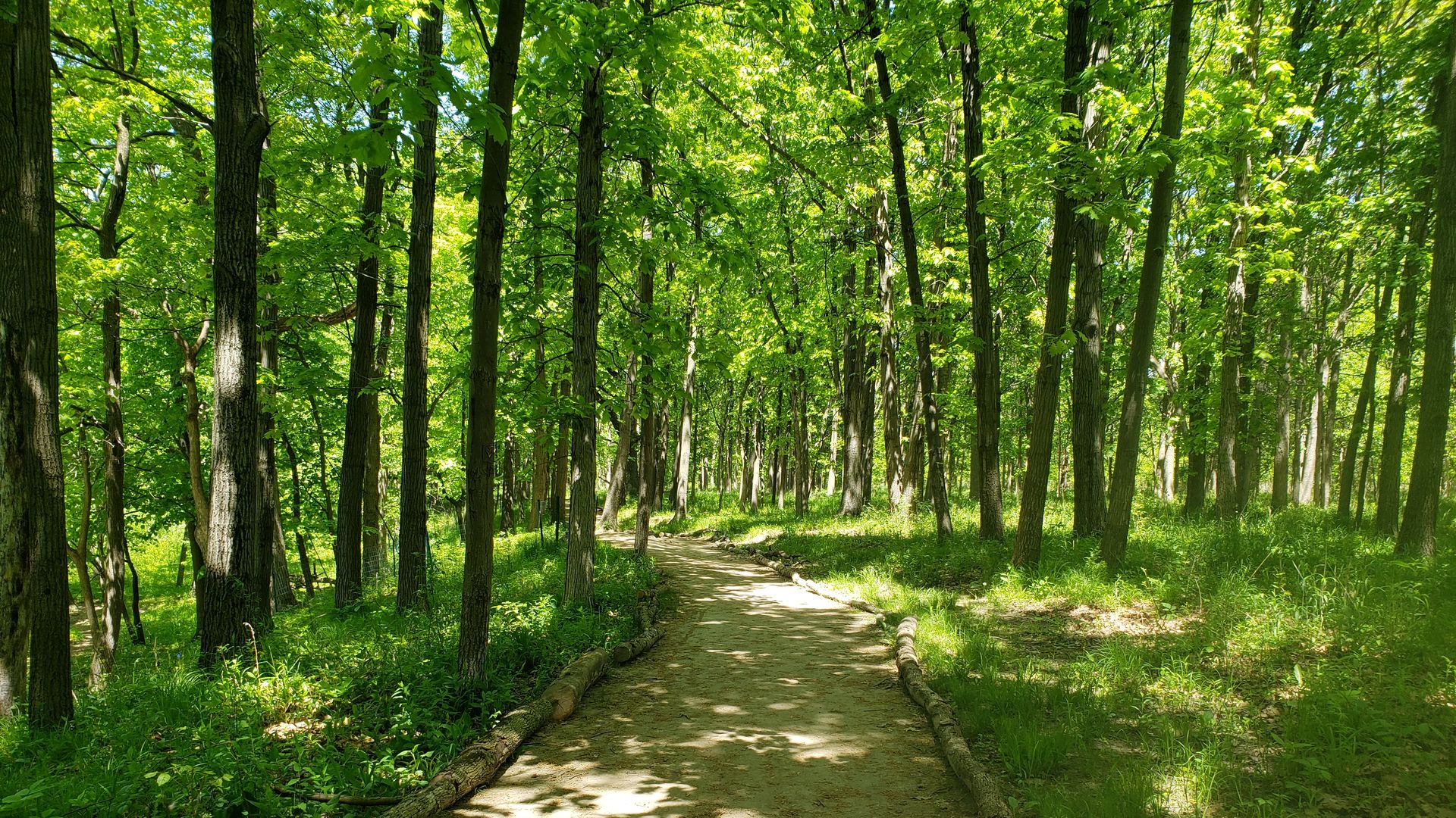 Collar counties vote to protect forest preserves - Axios Chicago