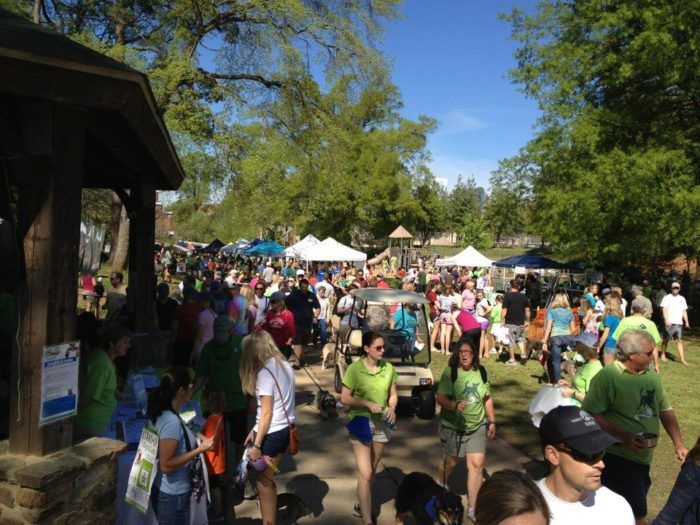 20 Charlotte-area spring festivals to put on your calendar now - Axios ...