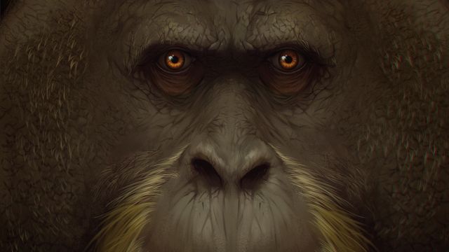 How the largest primate to roam Earth went extinct