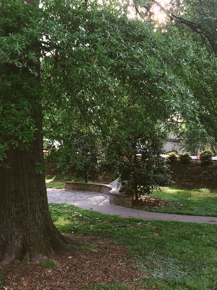 13 photos of an evening in Independence Park - Axios Charlotte