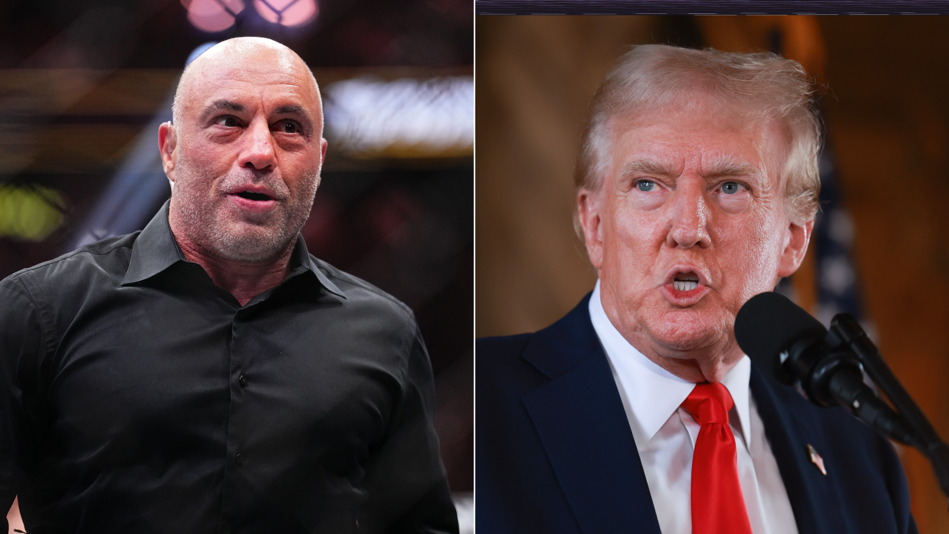 Trump hits back at Joe Rogan over RFK Jr. nod