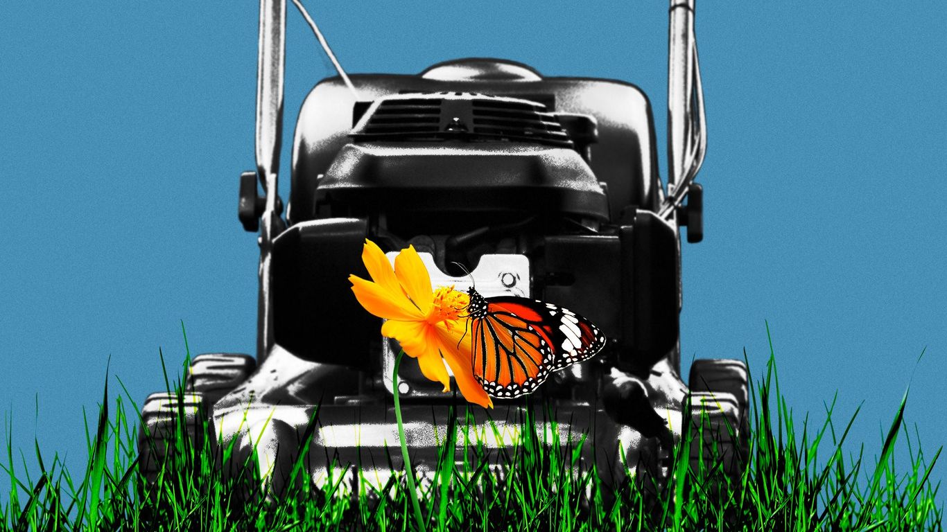 Des Moines group encourages "Less Mow May" over "No Mow May" - Axios ...