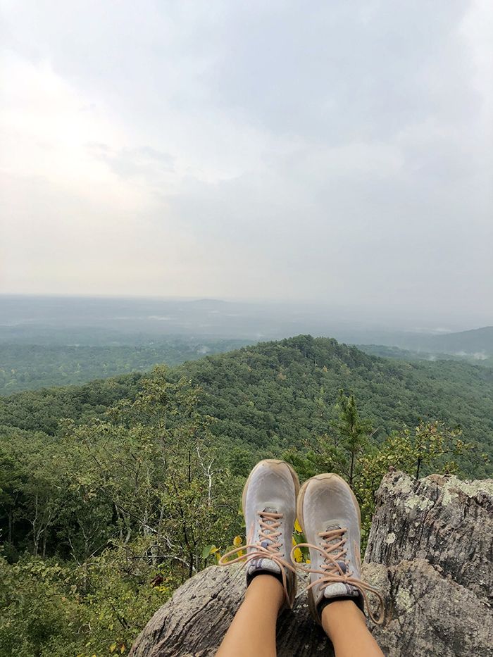 Charlotte Spring Guide 2025: Lovin' Life Music Fest, Charlotte SHOUT ...