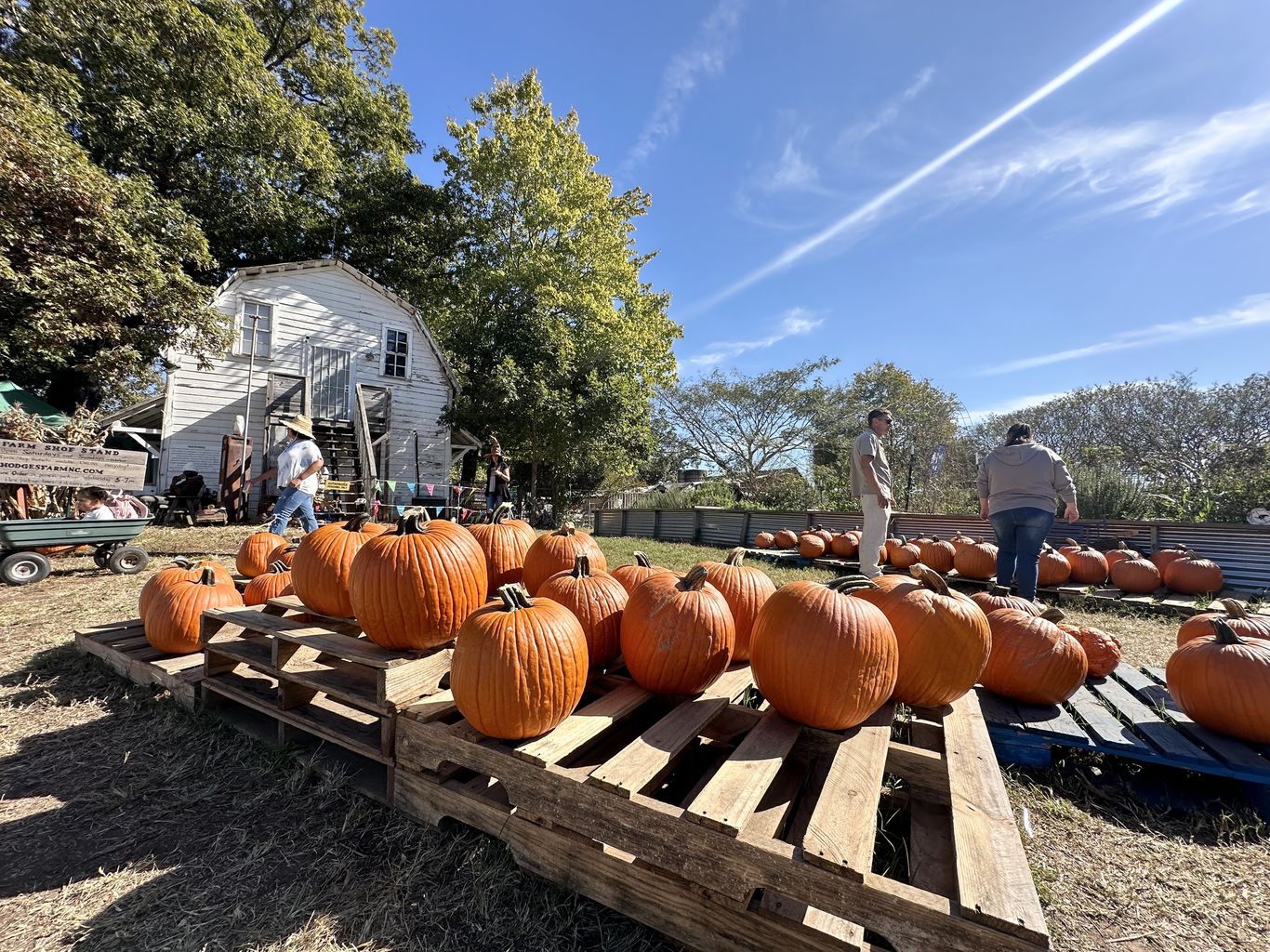 25 things to do in Charlotte this fall - Axios Charlotte