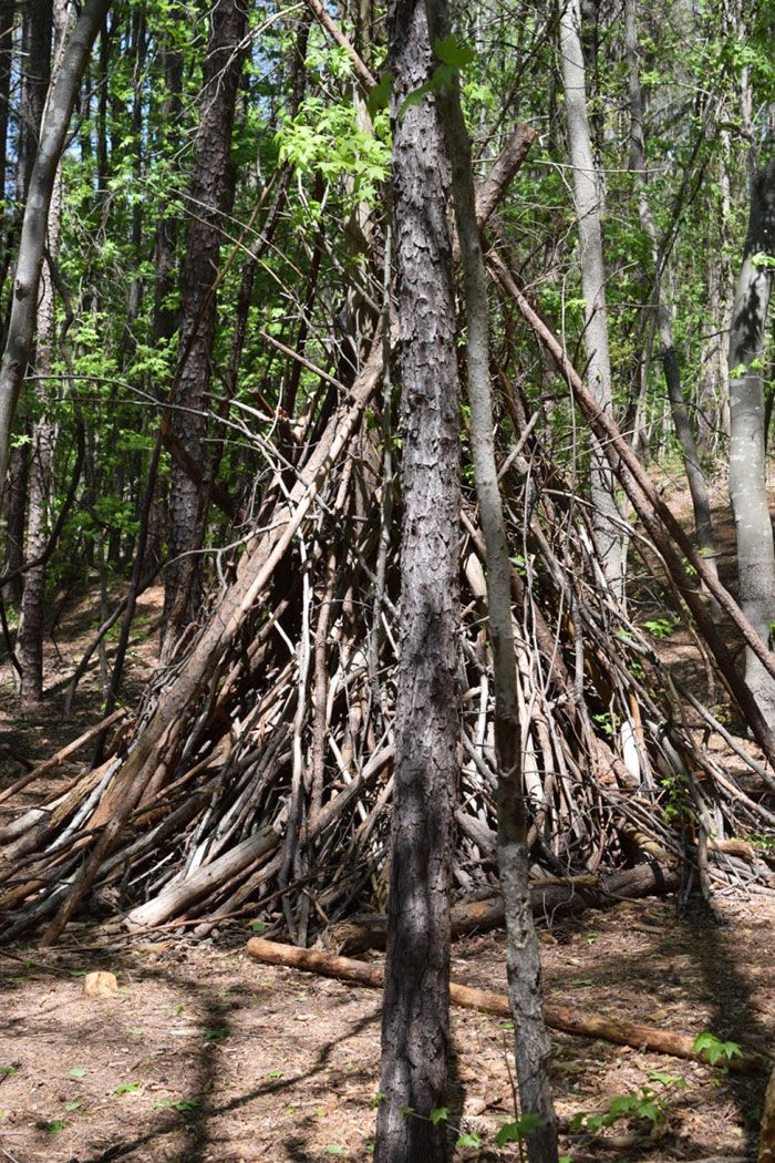 Sardis Park is Charlotte’s most overlooked weekend play area - Axios ...