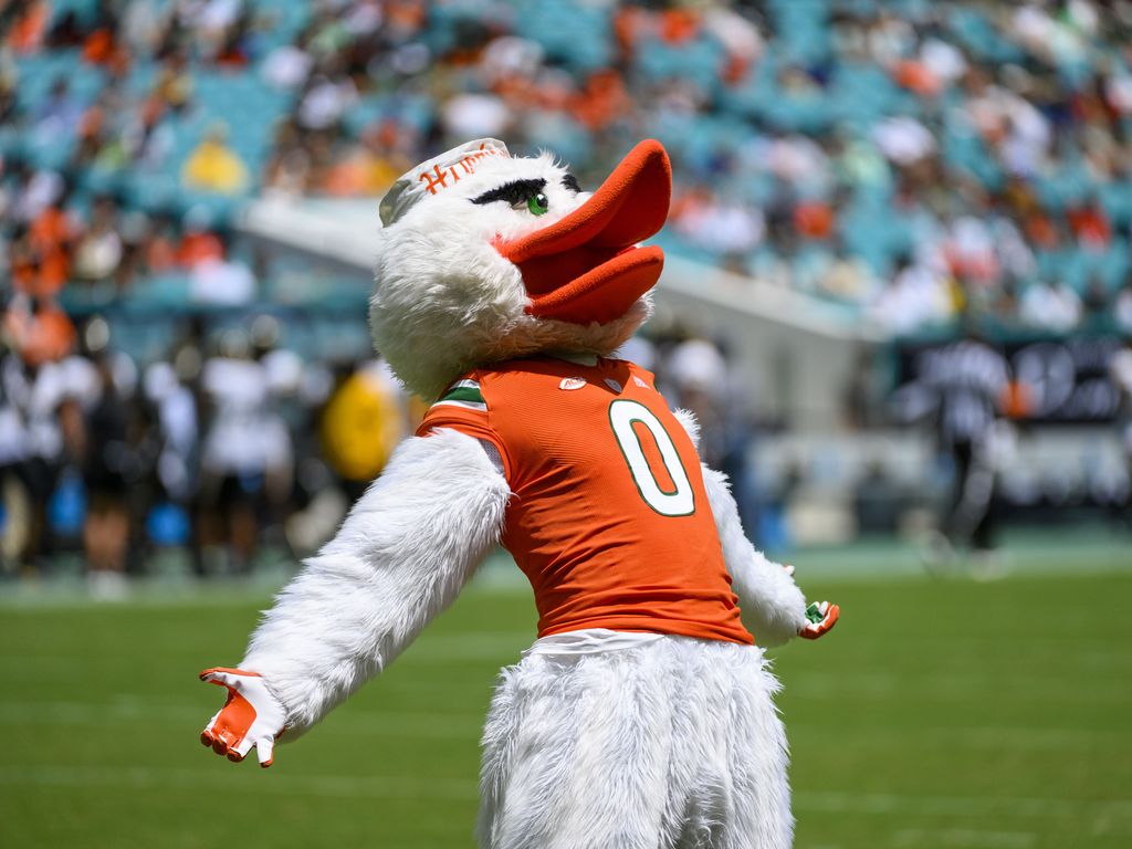 Sebastian The Ibis Logo