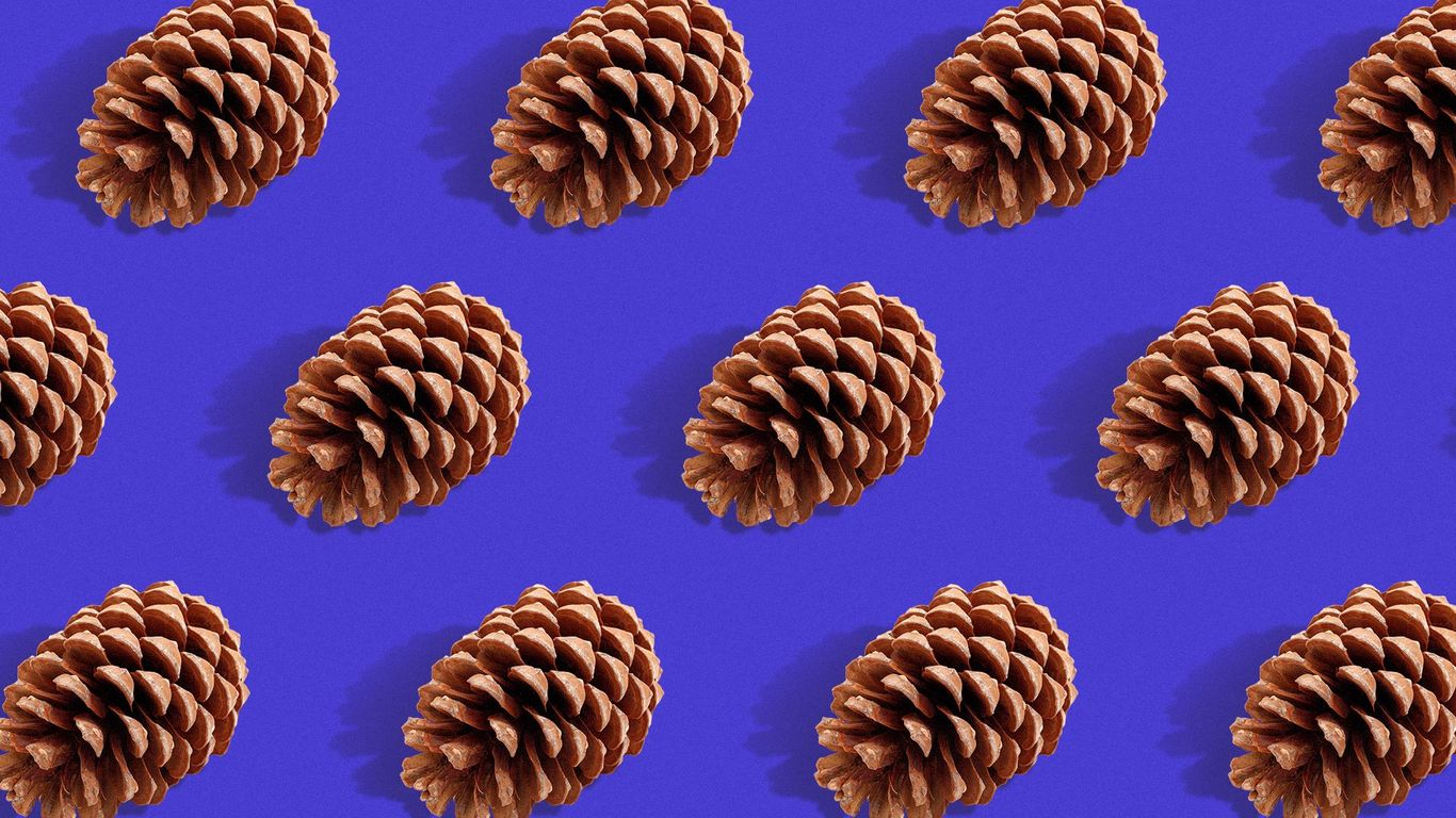 Kitchen Sink: News cone - Axios NW Arkansas