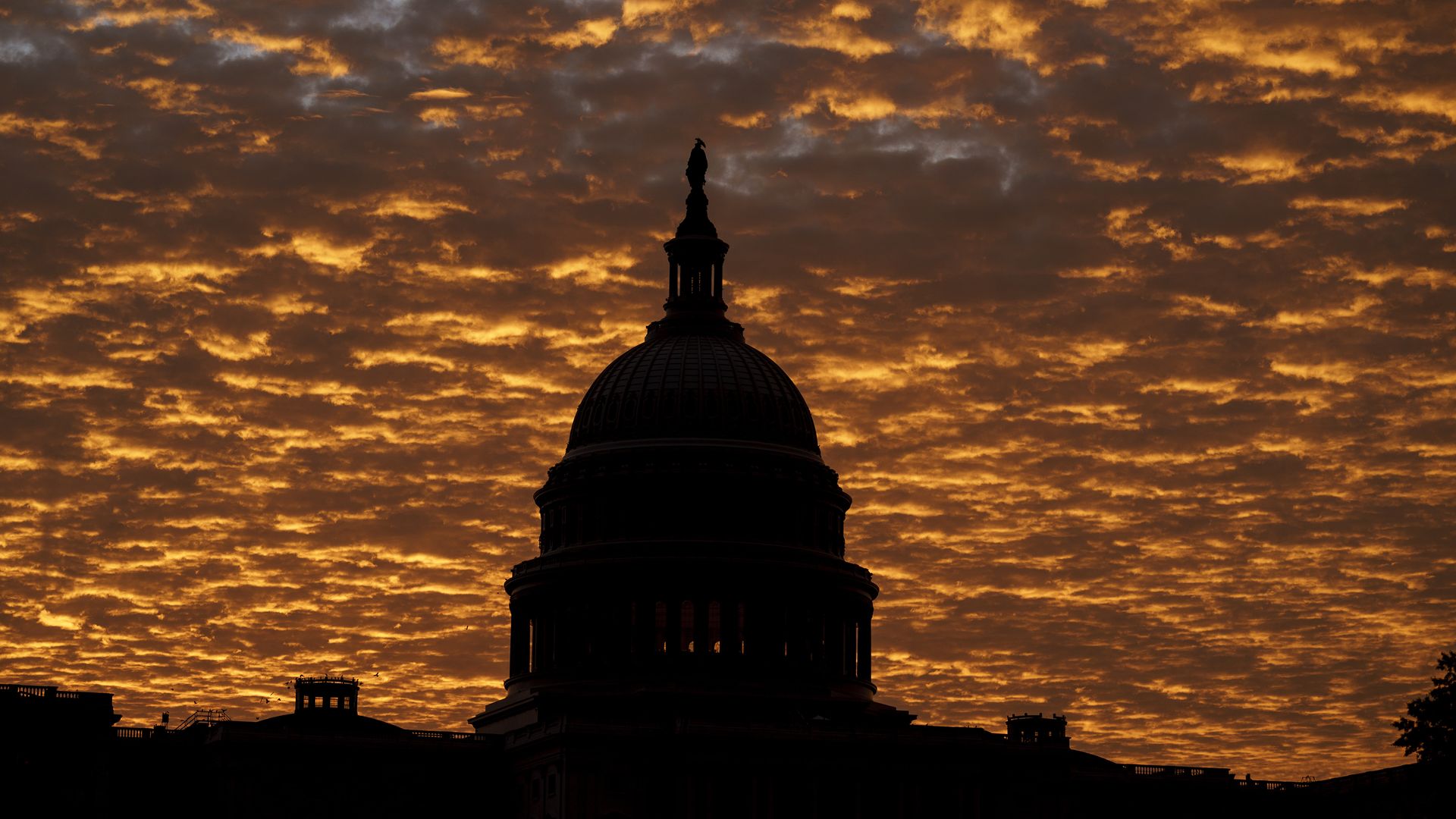 Machalagh Carr, Rep. Kevin McCarthy's former chief, launches firm