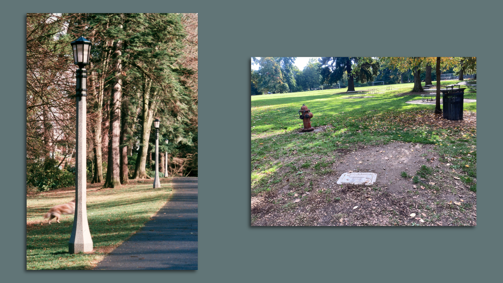 Lighting coming back to Portland parks - Axios Portland