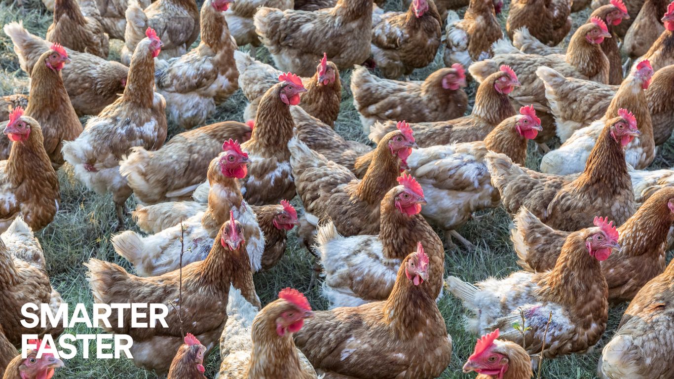 Big Food's role in sustainable food production