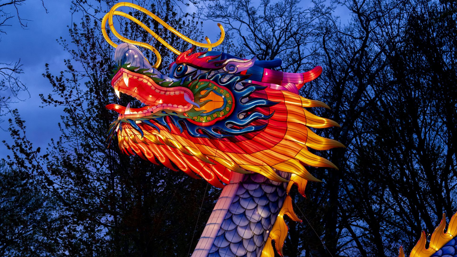 Chinese Lantern Festival returns to Philly's Franklin Square - Axios ...
