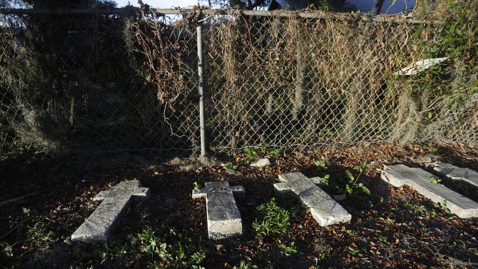 USF exhibit showcases how Tampa Bay's lost graves were rediscovered ...