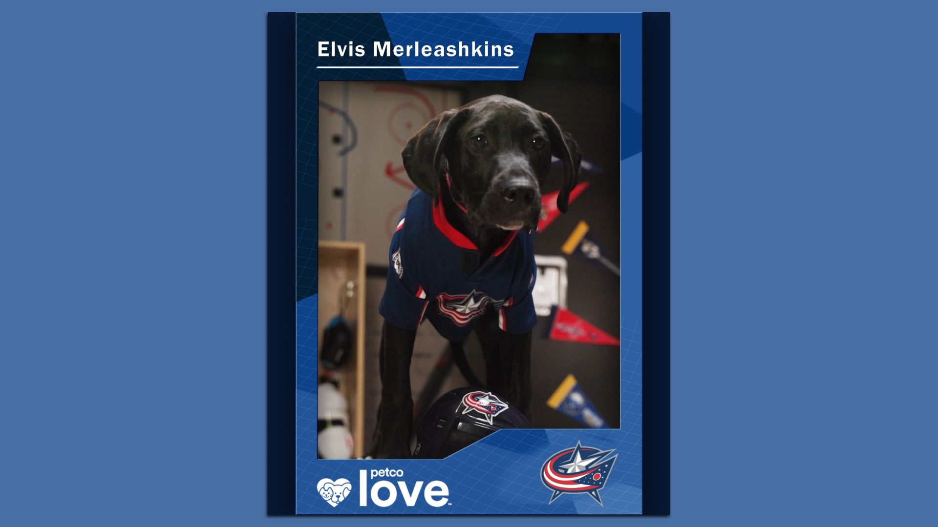 Meet Ohio's "Stanley Pup" rep: goalie Elvis Merleashkins - Axios Columbus