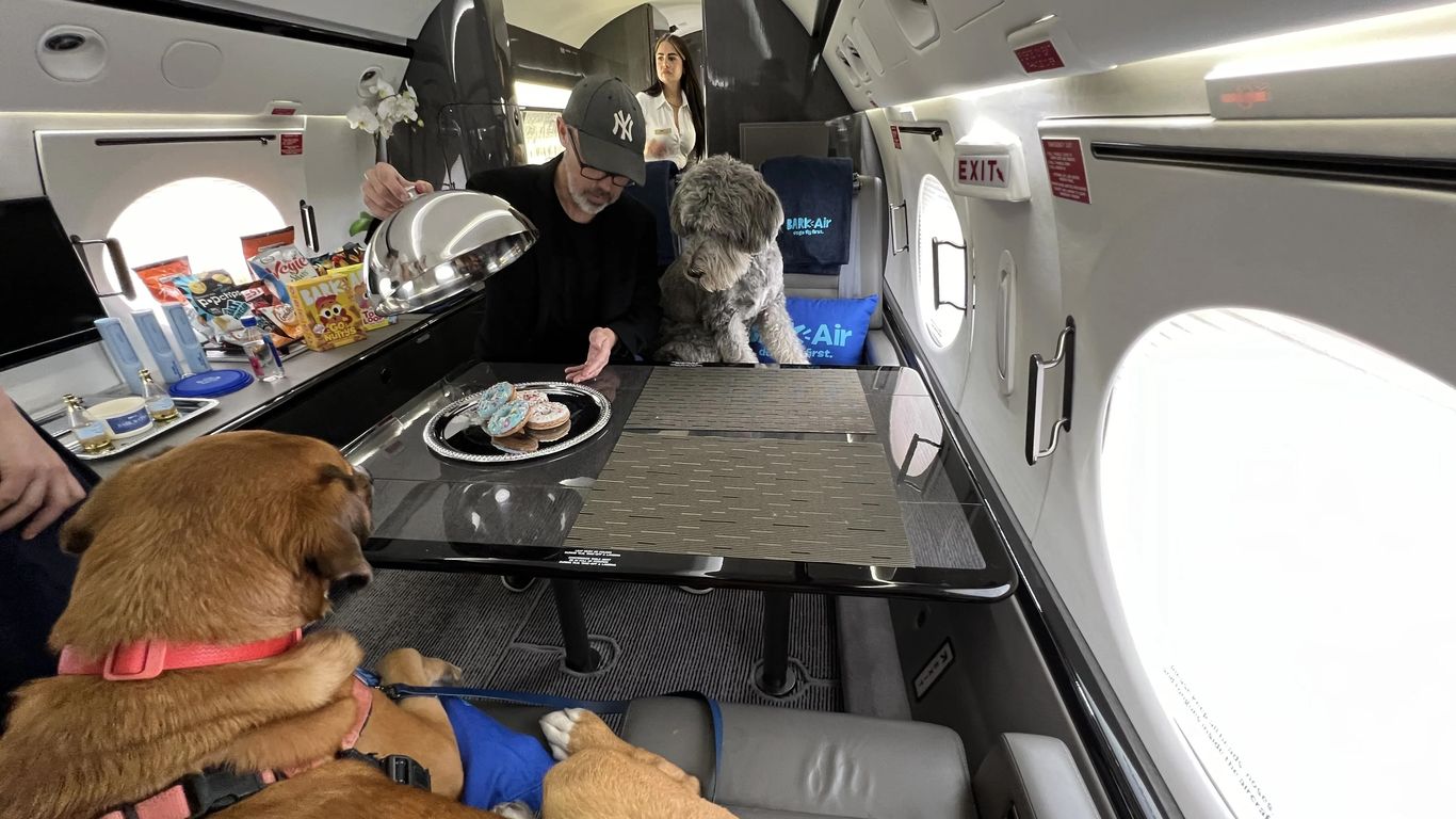 Dog-friendly Bark Air coming to Phoenix Sky Harbor - Axios Phoenix