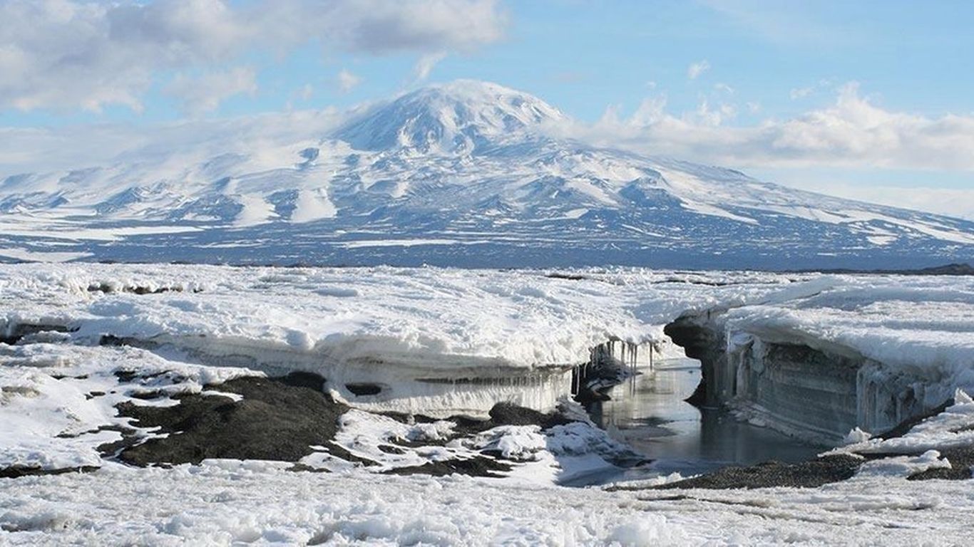 Scientists sequence century-old Antarctic bacteria
