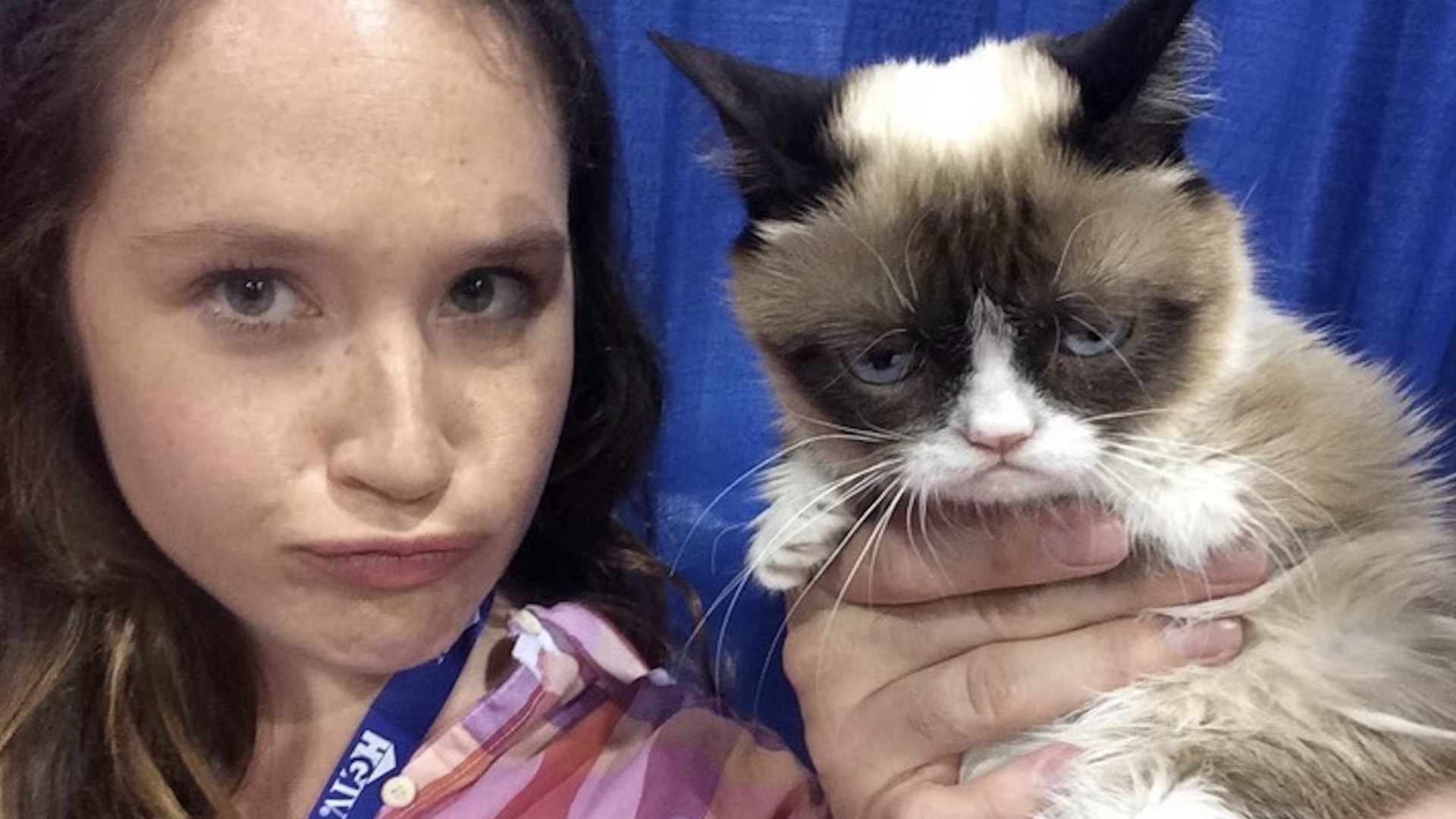 The Ankler launches standalone trade publication on the creator economy