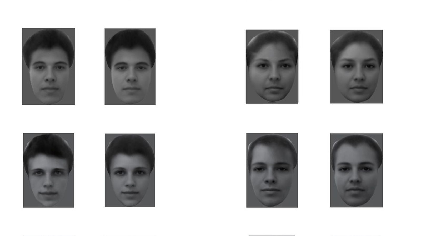 Only a few hundreds neurons help the brain recognize faces