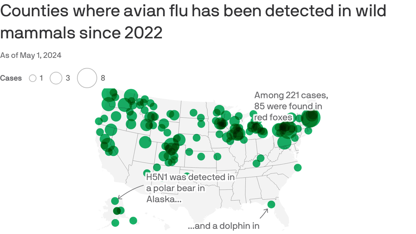 Bird flu found in six Washington counties - Axios Seattle