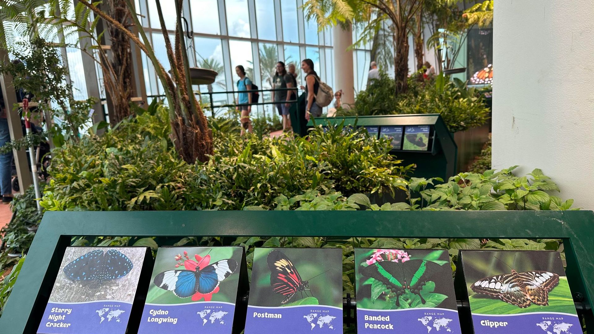 Audubon Aquarium and Insectarium reopen after renovations in New ...