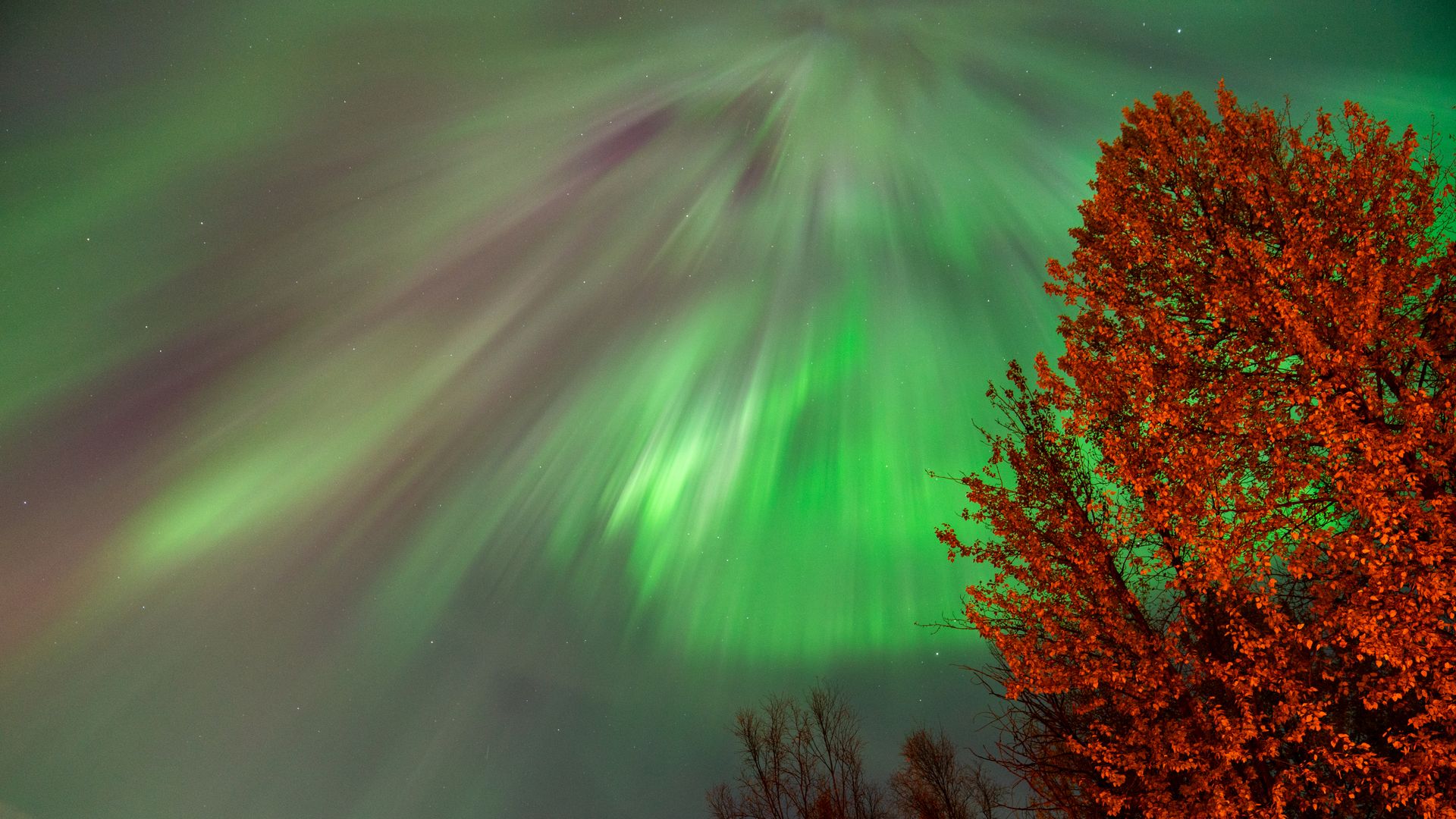 Northern lights forecast: Where, when to see Aurora borealis this week