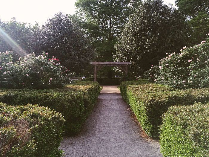 13 photos of an evening in Independence Park - Axios Charlotte