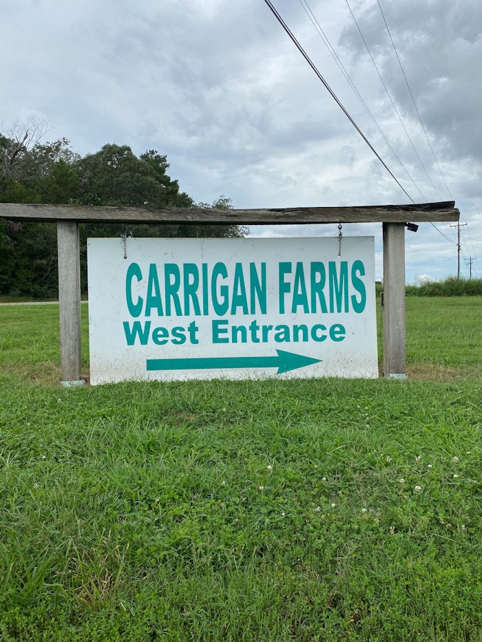 What know about open swim season at Carrigan Farms - Axios Charlotte